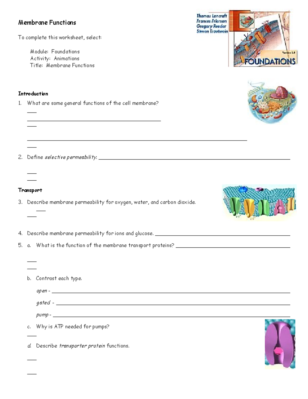 Anim membrane functions worksheet - Membrane Functions To complete this ...