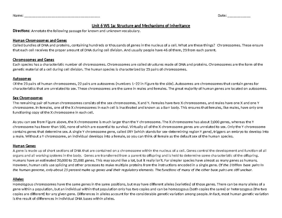 Unit 6 WS 1a Structure and Mechanisms of Inheritance Answers - Name ...