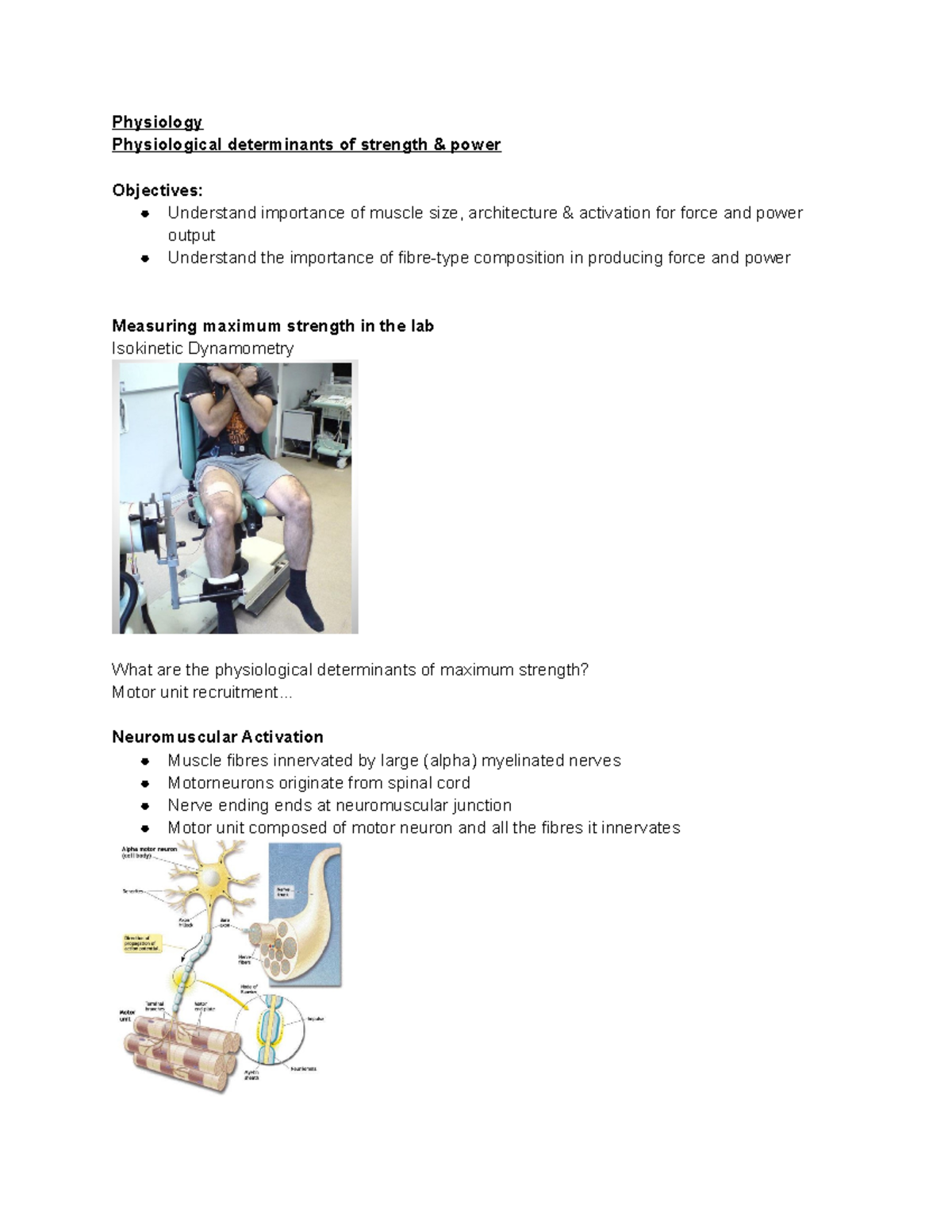 W1 Physiology - Physiology Physiological determinants of strength ...