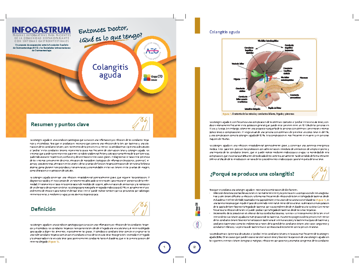 Colangitis - A colangite aguda, também conhecida como colangite ...