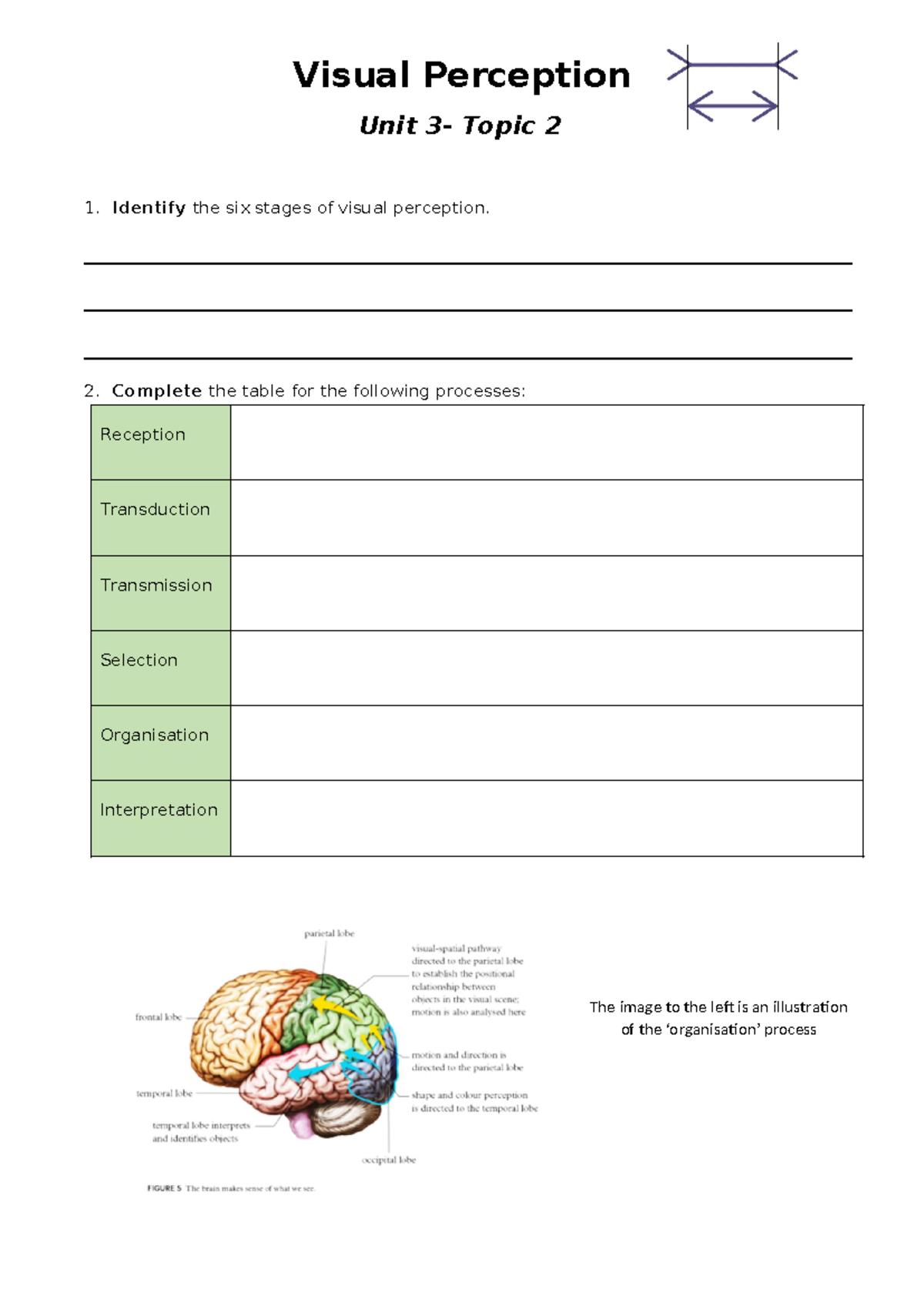 REV Visual Perception - Visual Perception Unit 3- Topic 2 1. Identify ...