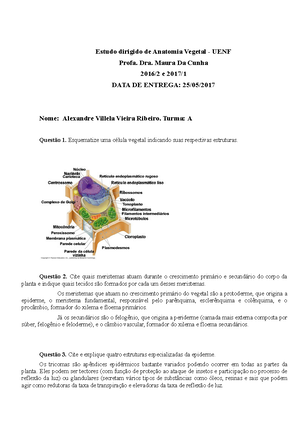 Anatomia Vegetal_O Estudo Dirigido 2 - Atividade - P2 DE ANATOMIA ...