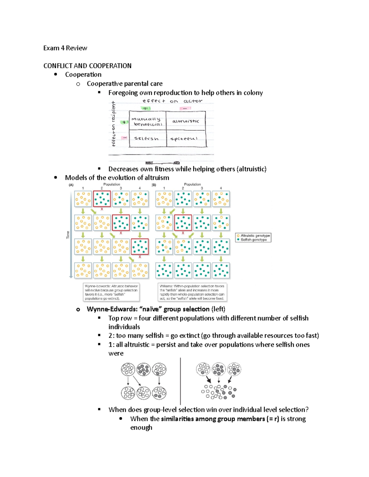 Exam 4 Review - Exam 4 Review CONFLICT AND COOPERATION Cooperation o ...