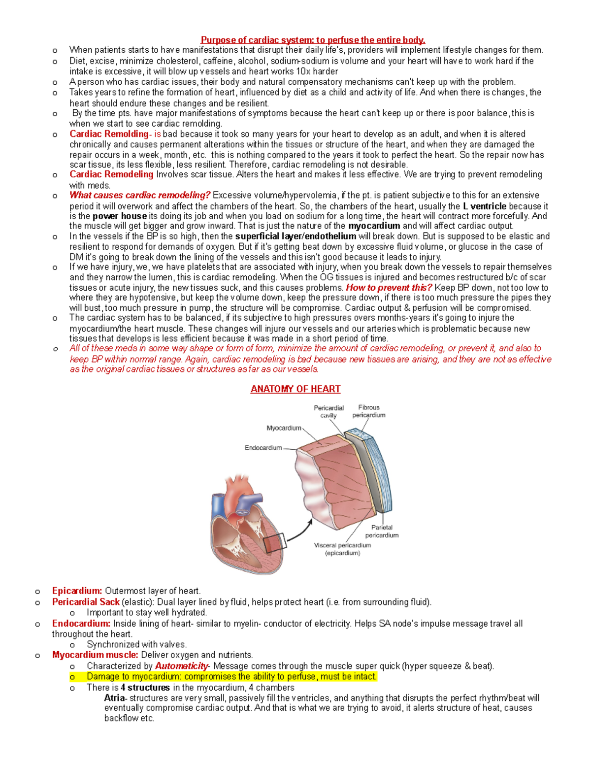 Week 6 finalcardiac - pharm - Purpose of cardiac system: to perfuse the ...