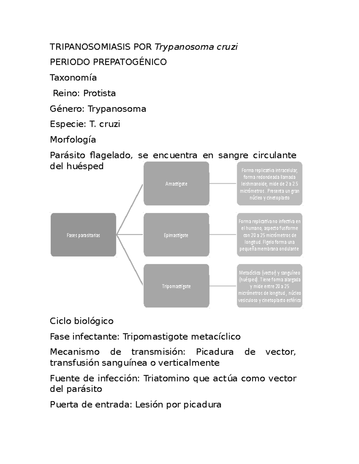 Tripanosomiasis por Trypanosoma cruzi - TRIPANOSOMIASIS POR Trypanosoma ...