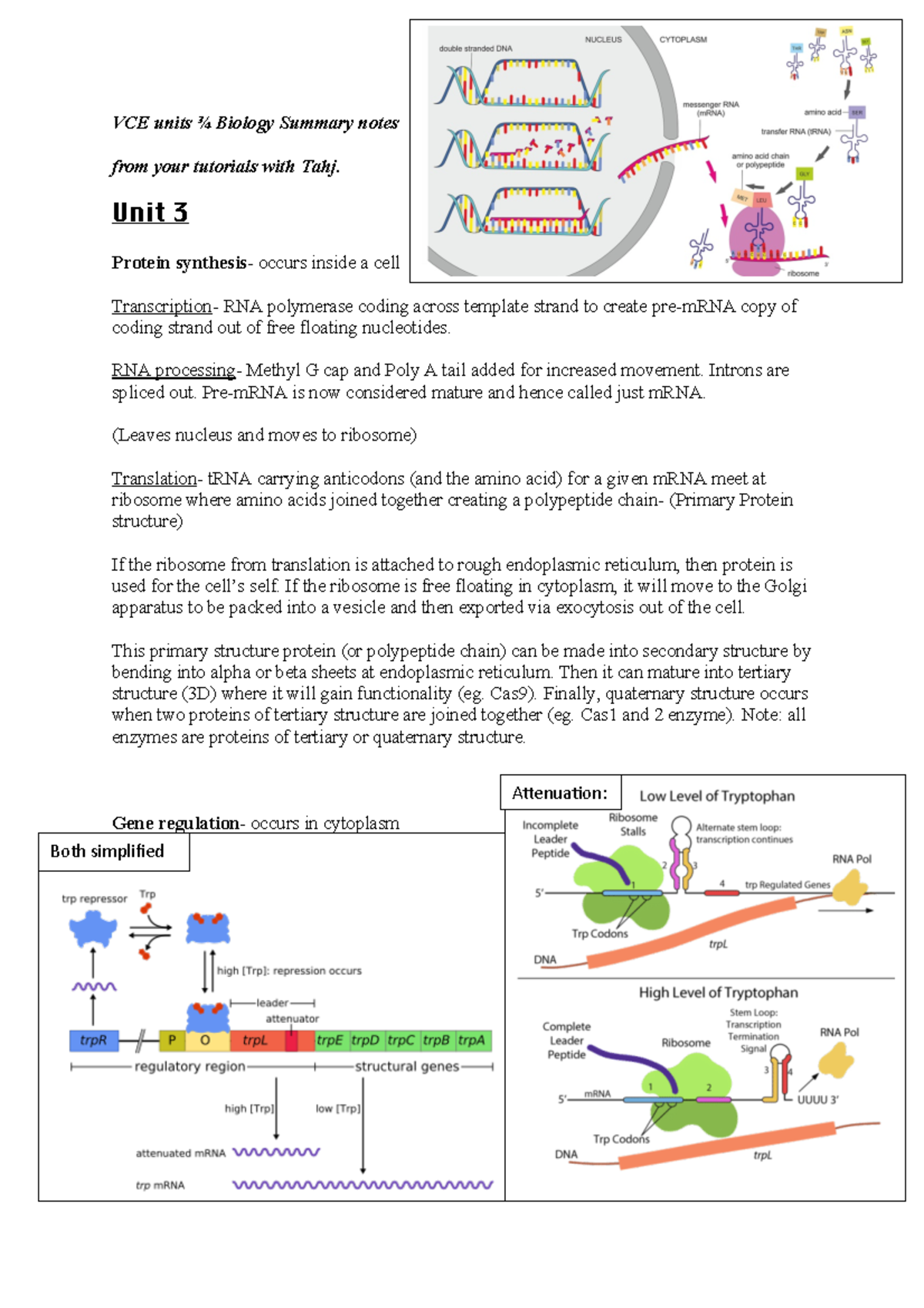 Unit 3 AO1,2 and unit 4 AOS 1 summary notes - VCE units ¾ Biology ...
