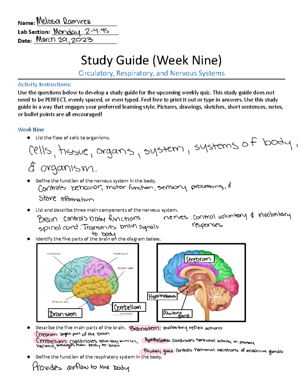 Study Guide (Week Nine) 230329 235548 - Name ...