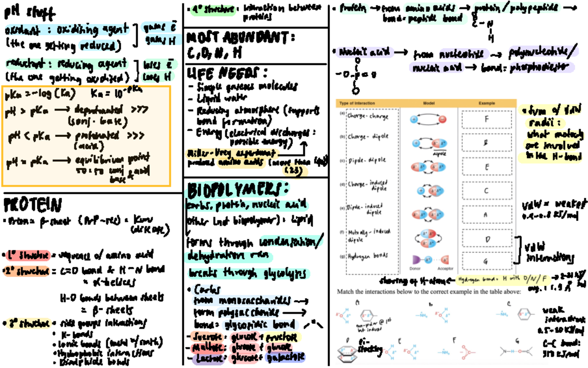 BIOSCI106 FIRST HALF NOTES - pH stuff · 40 structure : interaction ...