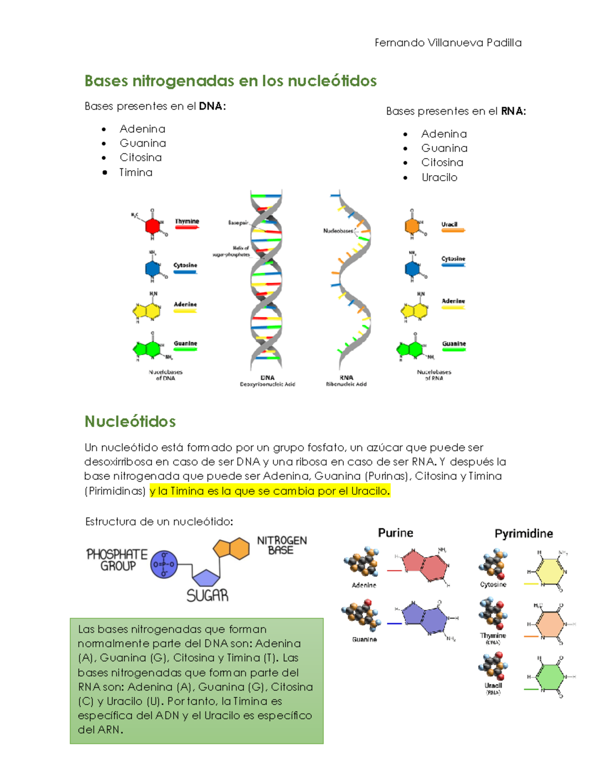 Apuntes de biomole - Introducción a la Biología Molecular - Bases ...