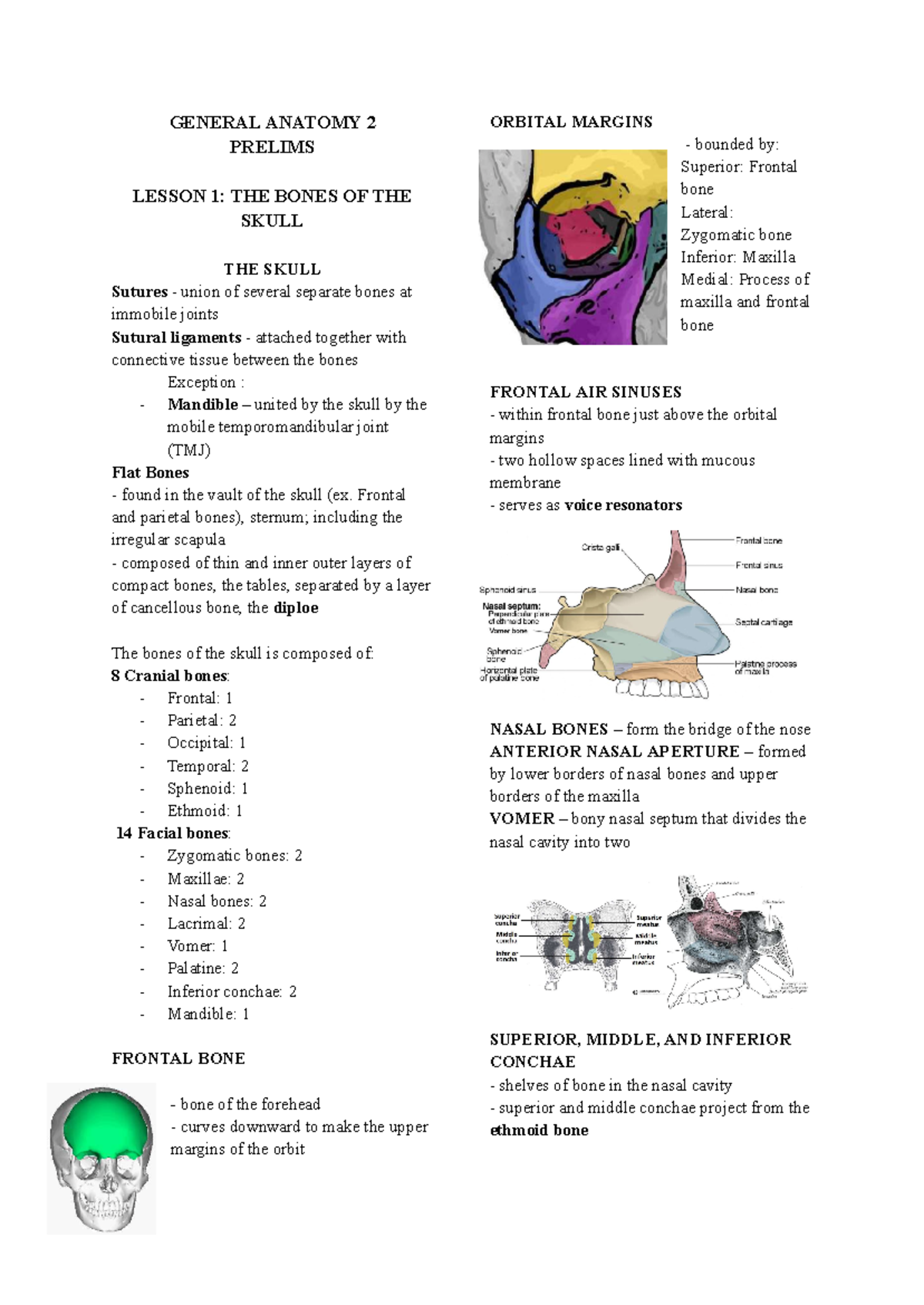 Prelim Gen Ana 2 - GENERAL ANATOMY 2 PRELIMS LESSON 1: THE BONES OF THE ...