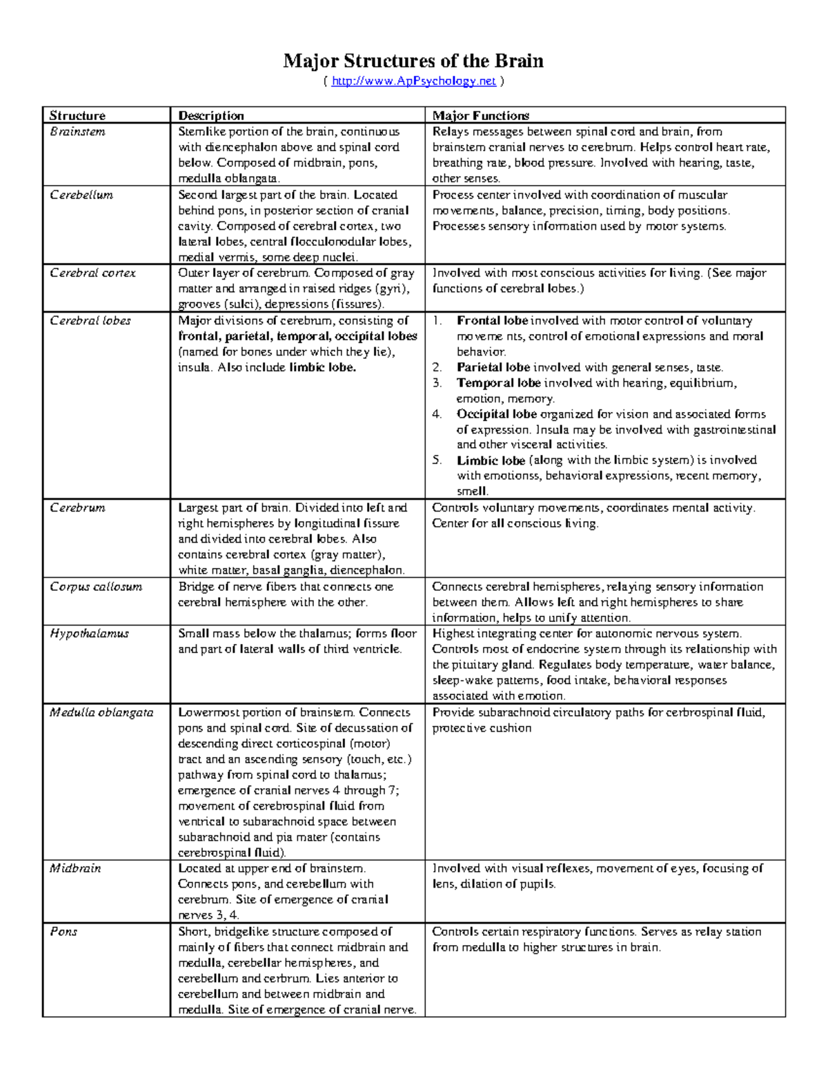 Brain Study Guide Major Structures Of The Brain ApPsychology