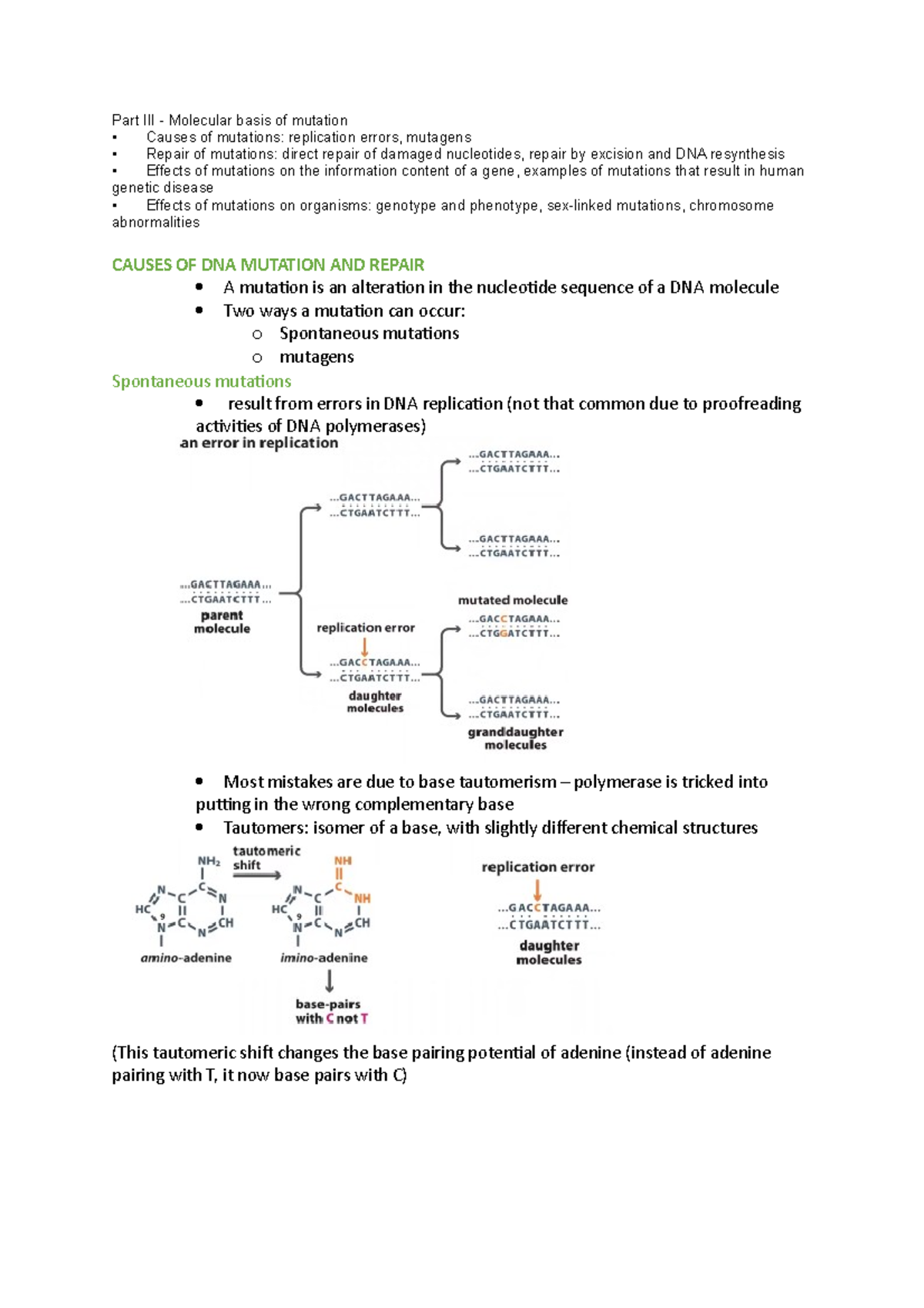 Mol bio 3 - Lecture notes part 3 - Part III - Molecular basis of ...