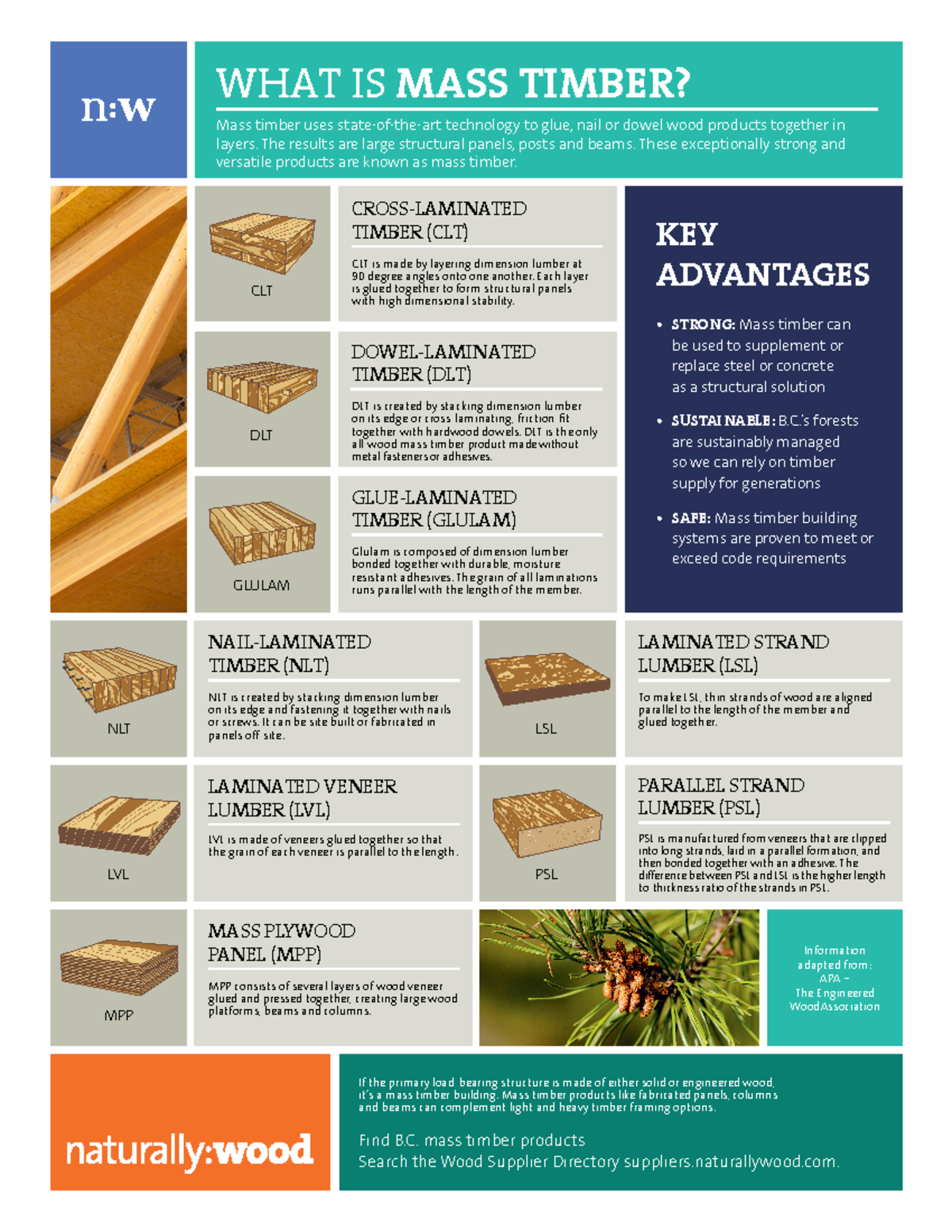 What-is-mass-timber infographic naturallywood - Find B. mass timber ...
