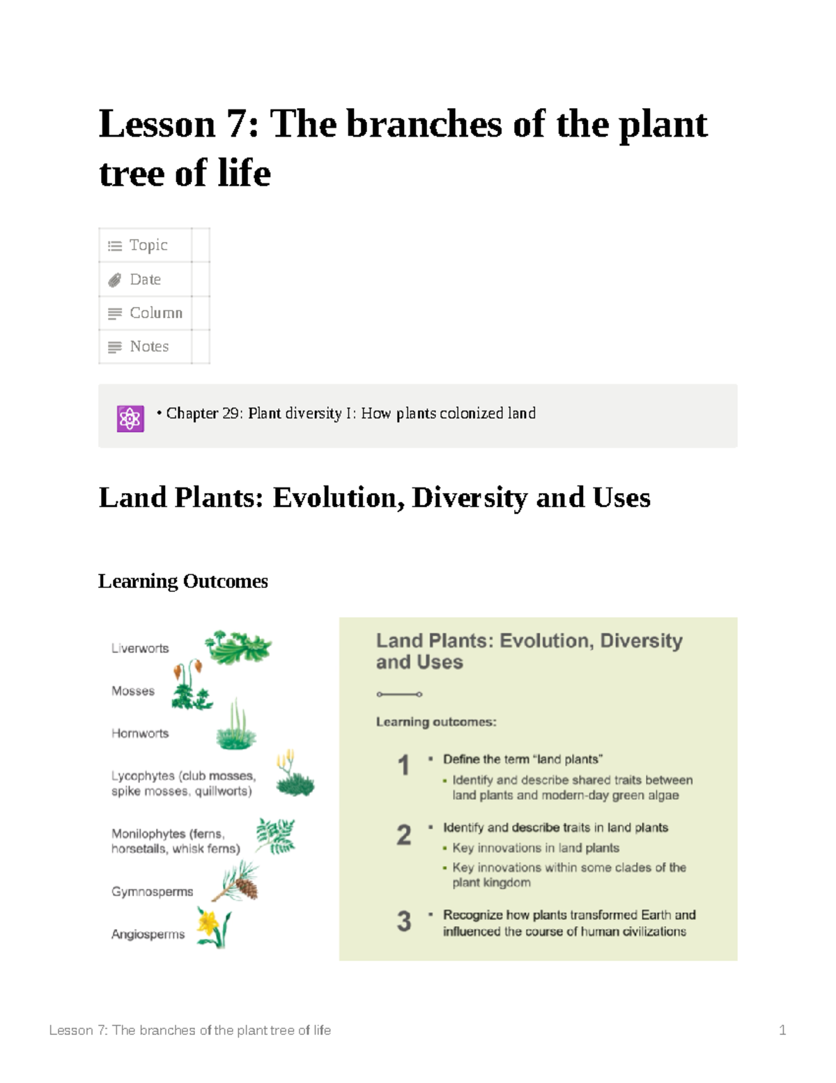 Lesson 7 The branches of the plant tree of life - Lesson 7: The ...