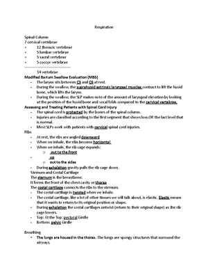 Acoustic Theory of Vowels and Constrictions - Studocu
