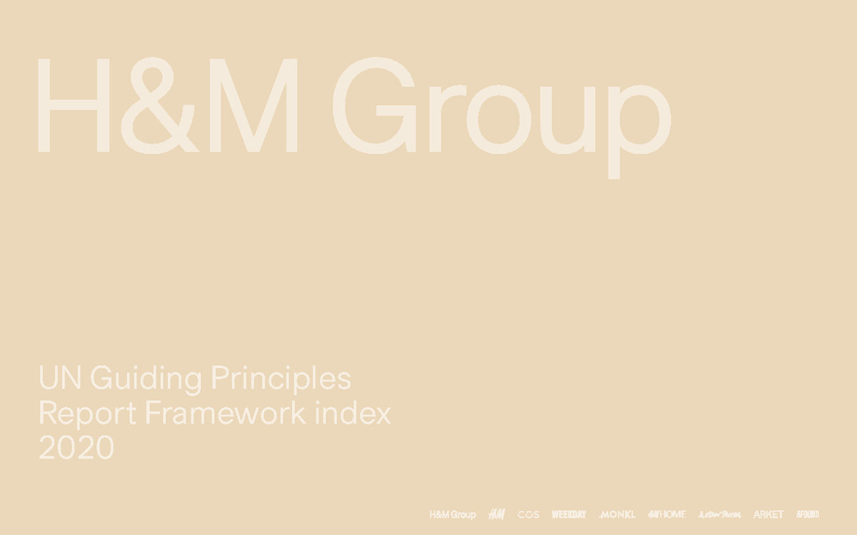 HMGroup 2020 global strategy management - UN Guiding Principles Report ...
