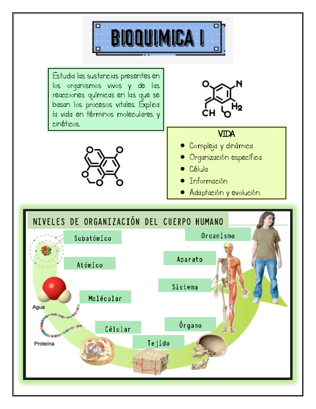 Resumen generalidades Bioquimica 1 - BIOQUÍMICA I Estudia las ...