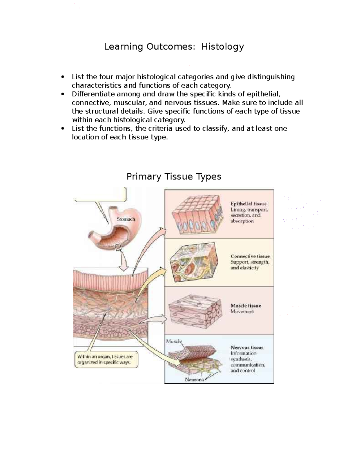 Histology (tissues) notes - Learning Outcomes: Histology List the four ...