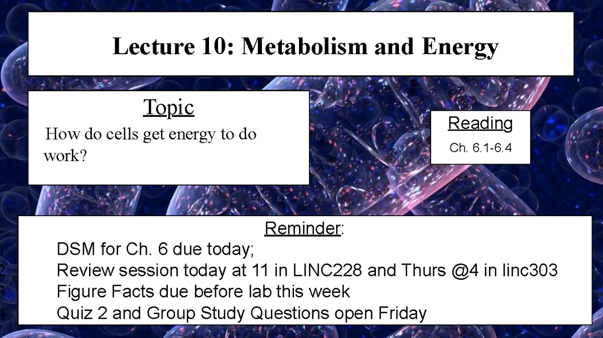 Bi221 Lecture-10 energy skeleton - Lecture 10: Metabolism and Energy ...