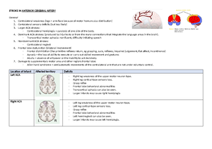 Summary Neuroanatomy Through Clinical Cases, Hal Blumenfeld, Lecture (s ...
