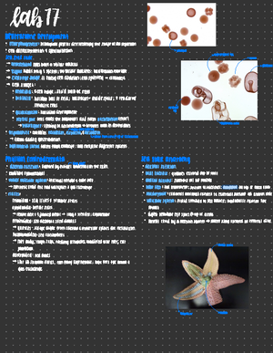 Population Genetics Worksheet - NAME _________________________ CLASS ...