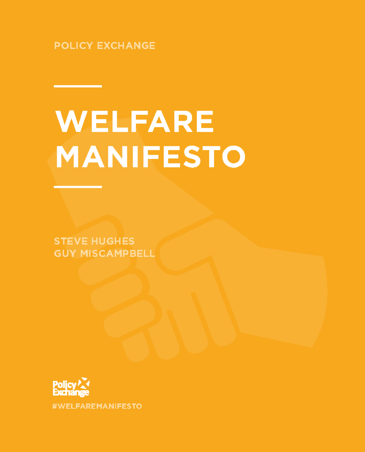Social Welfare and Development, Policies, Manifesto Sample, Guide to ...