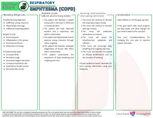 Example - Care Plan - Pneumothorax and Tension Pneumothorax - C a r e P ...