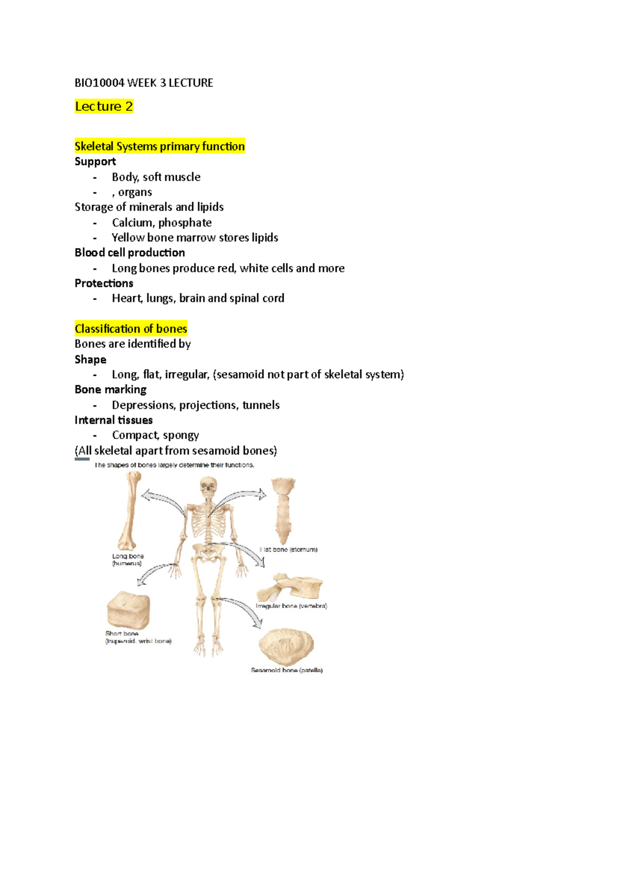 BIO10004 WEEK 3 Lecture 2:3 - BIO10004 WEEK 3 LECTURE Lecture 2 ...