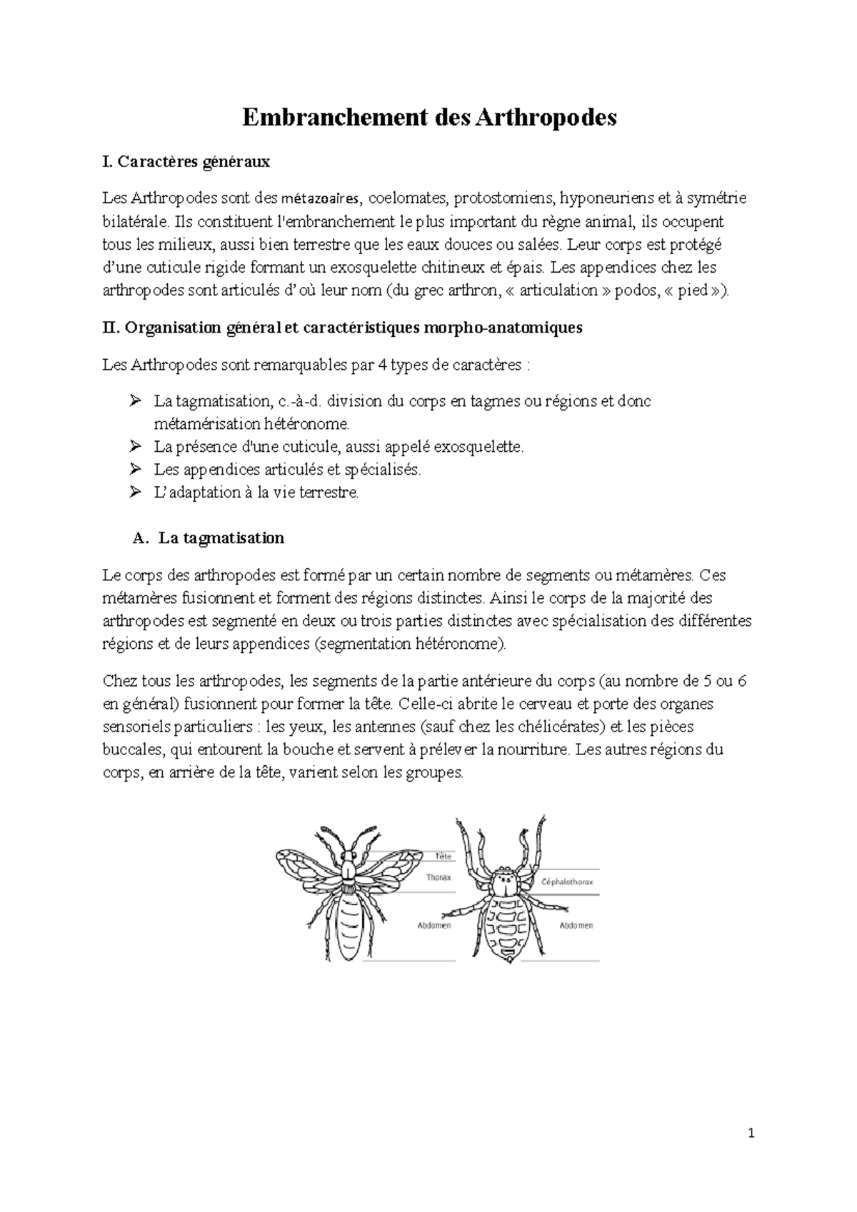 Les Arthropodes - Embranchement des Arthropodes I. Caractères généraux ...