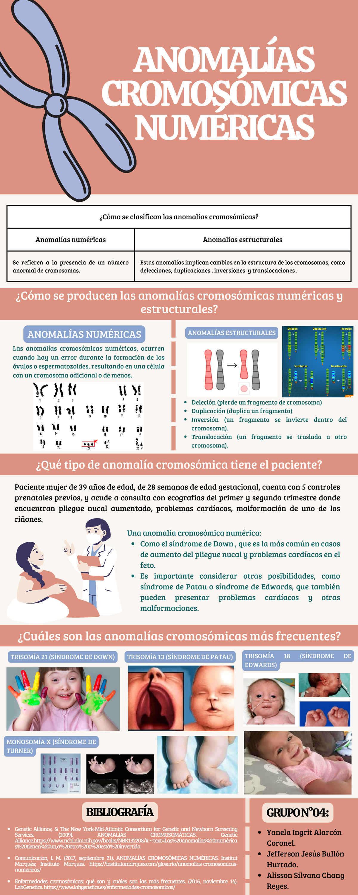Infografía N°1 -embriologia - ¿Cómo se clasifican las anomalías cromosómicas? Anomalías ...