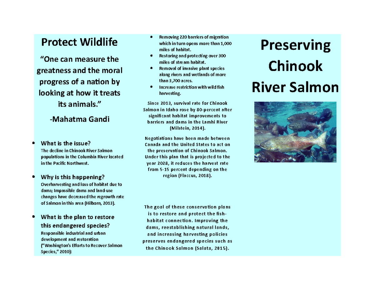 Pamphlet Assignment - Protect Wildlife “One can measure the greatness ...