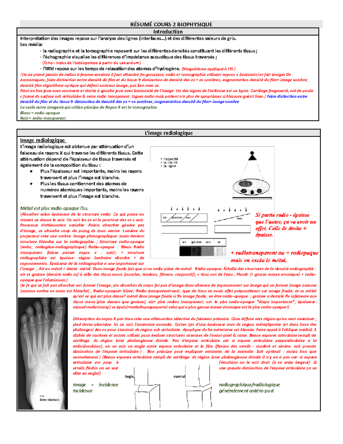 Cours 2 biophysique résumé - RÉSUMÉ COURS 2 BIOPHYSIQUE Introduction ...