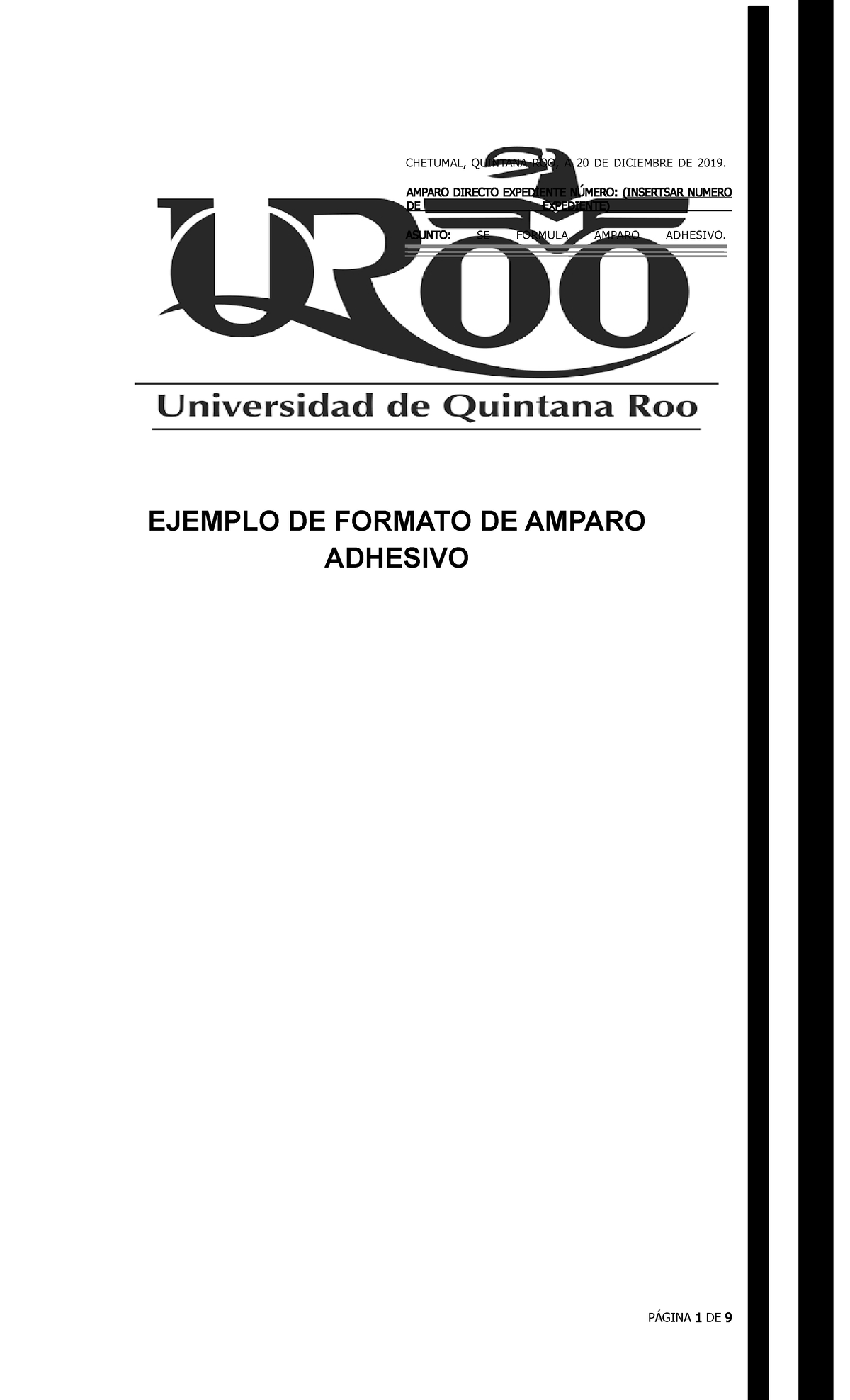 Ejemplo DE Formato Amparo Adhesivo - AMPARO DIRECTO EXPEDIENTE NÚMERO ...