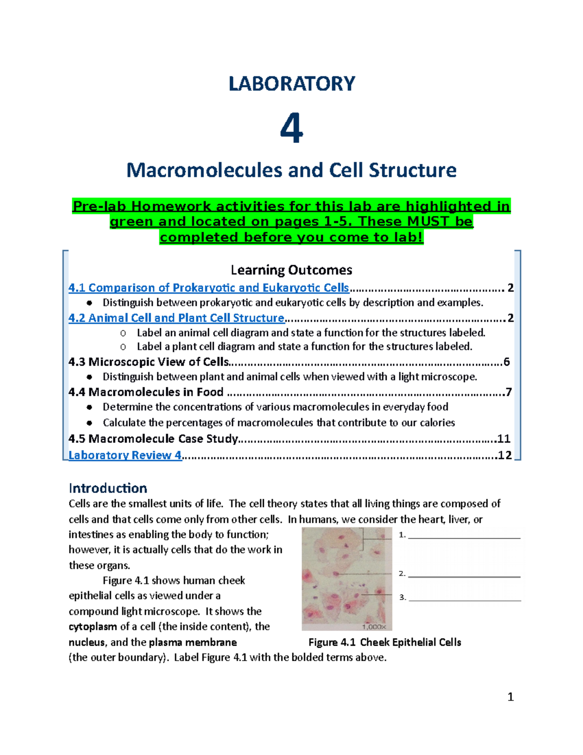 Lab 4- Molecules and Cells 1-25-21 - LABORATORY 4 Macromolecules and ...
