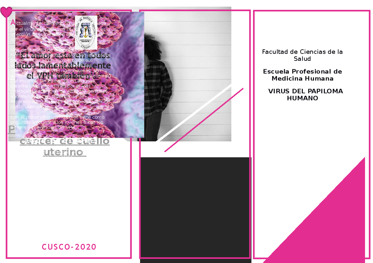 Triptico del vph - son mis apuntes y algunos resumenes - Prevencion ...