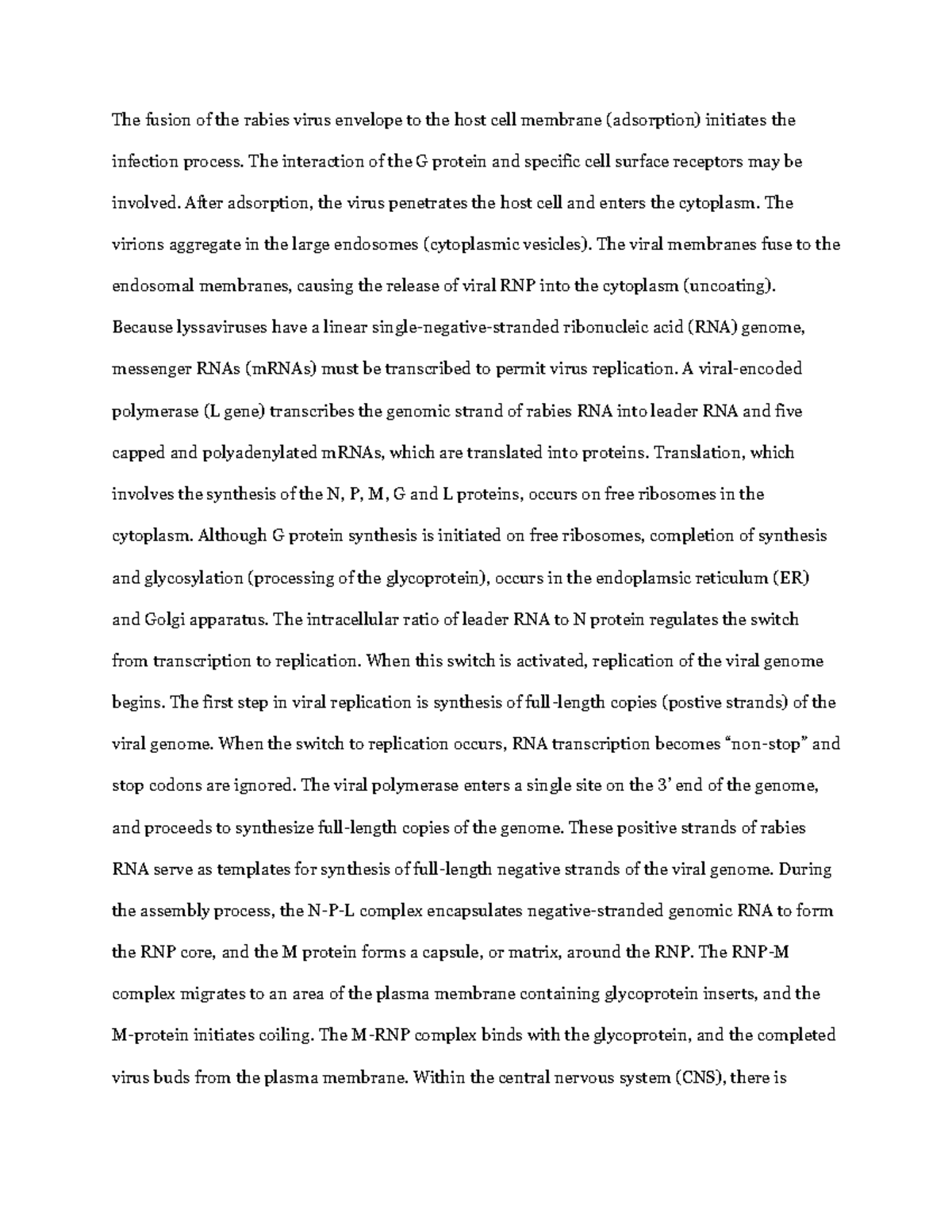 Replication - notes - The fusion of the rabies virus envelope to the ...