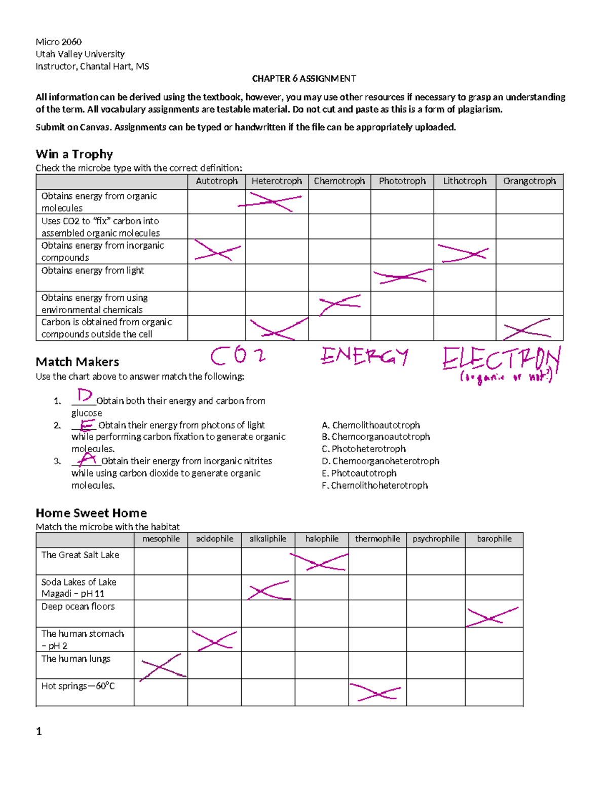 Ch 6 HW Micr 2060 - Hmwk - Micro 2060 Utah Valley University Instructor ...