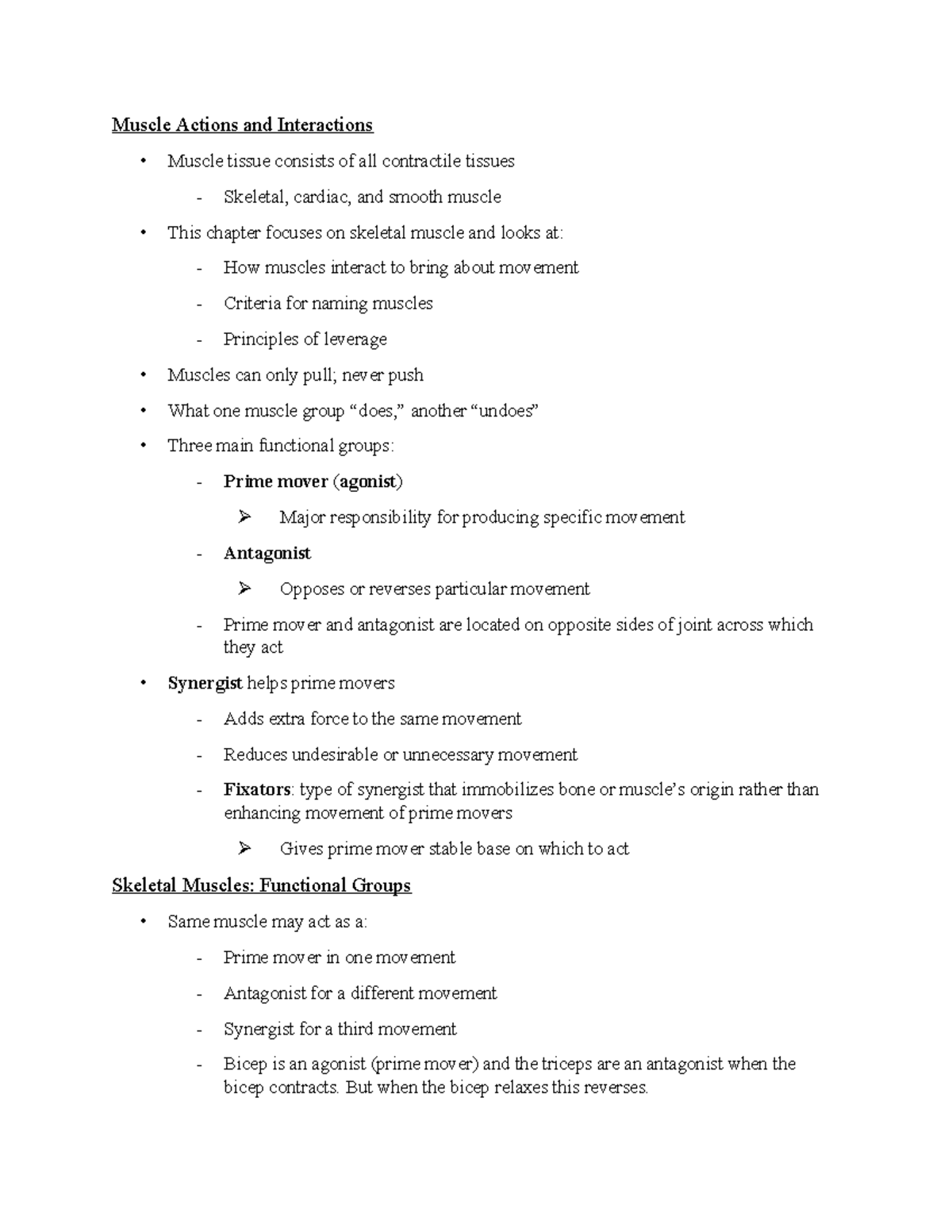 Ch.10 Muscle Anatomy Notes - Muscle Actions and Interactions Muscle ...
