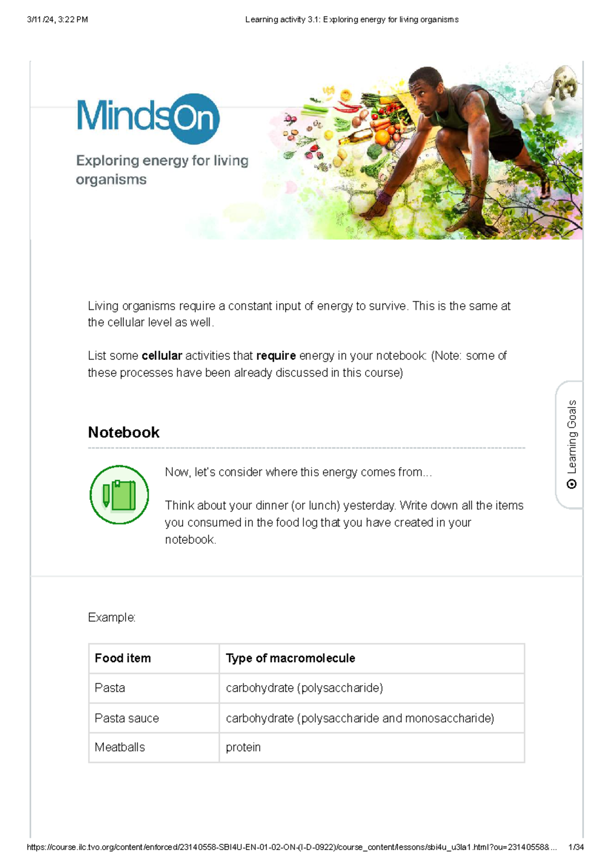 Learning activity 3.1 Exploring energy for living organisms-compressed ...