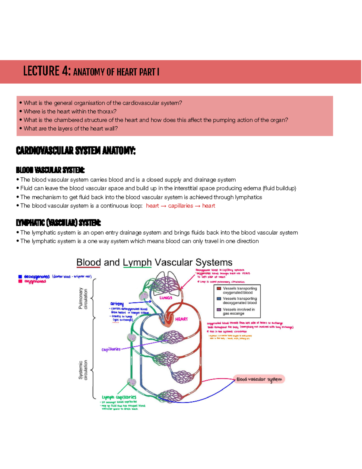 HUBS192 Cardiovascular system & Blood - LECTURE 4: ANATOMY OF HEART ...