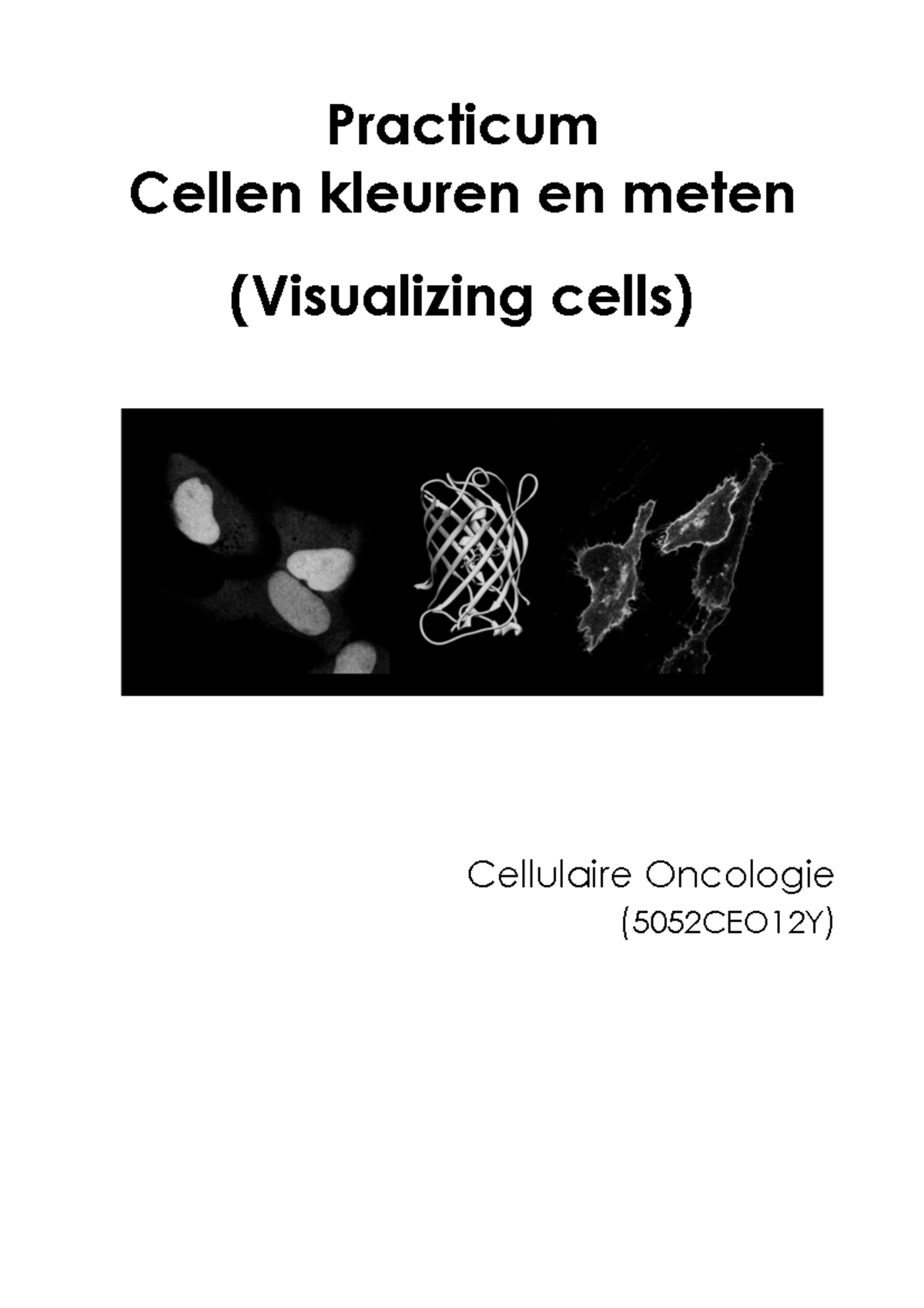Handleiding Practicum - Practicum Cellen kleuren en meten (Visualizing ...