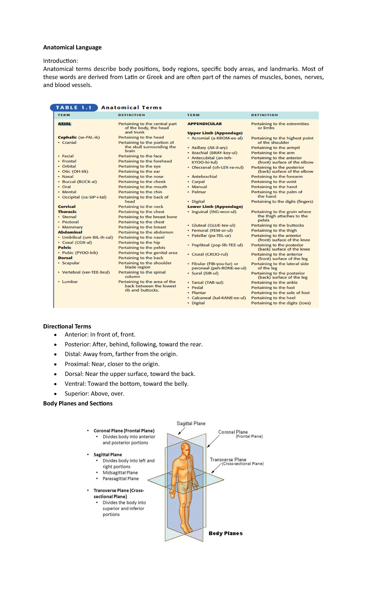 Anaphy-Prelims - Anatomical Language Introduction: Anatomical terms ...