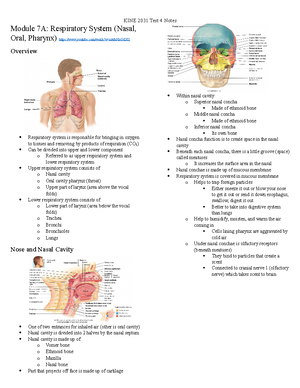 Lab 3 Outline - Muscles of the Shoulder Girdle and Arm - KINE 2031 ...