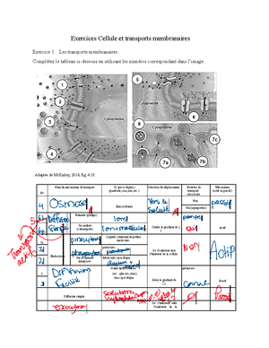 Corrigé Labo 7. Dissection du coeur - Cours 101 - ESH- 05 Corrigé ...