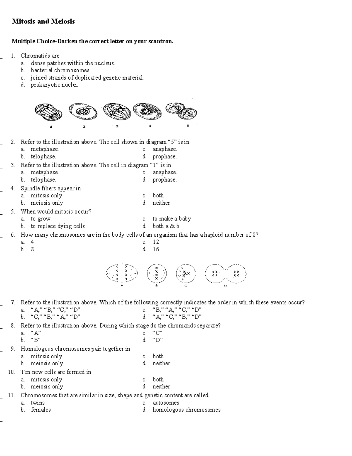 Mitosis and Meiosis B - shesh - Mitosis and Meiosis Multiple Choice ...
