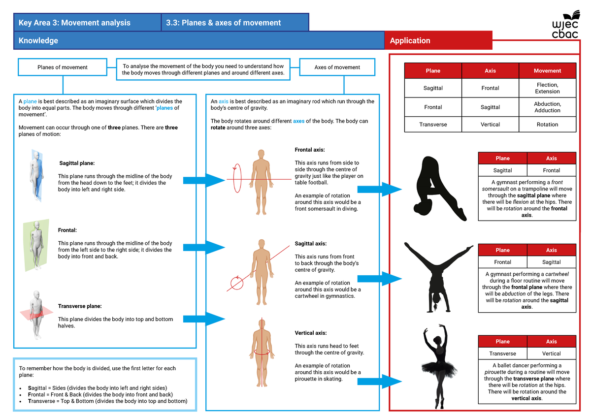 Planes and axis - Key Area 3: Movement analysis 3: Planes & axes of ...