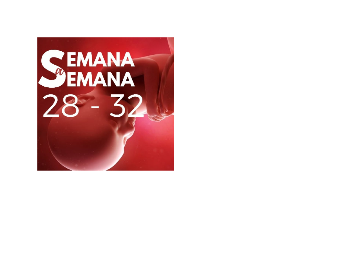 Semana 28 - 32 gestacional - SEMANA 28 – 32 GESTACIONAL Durante el ...