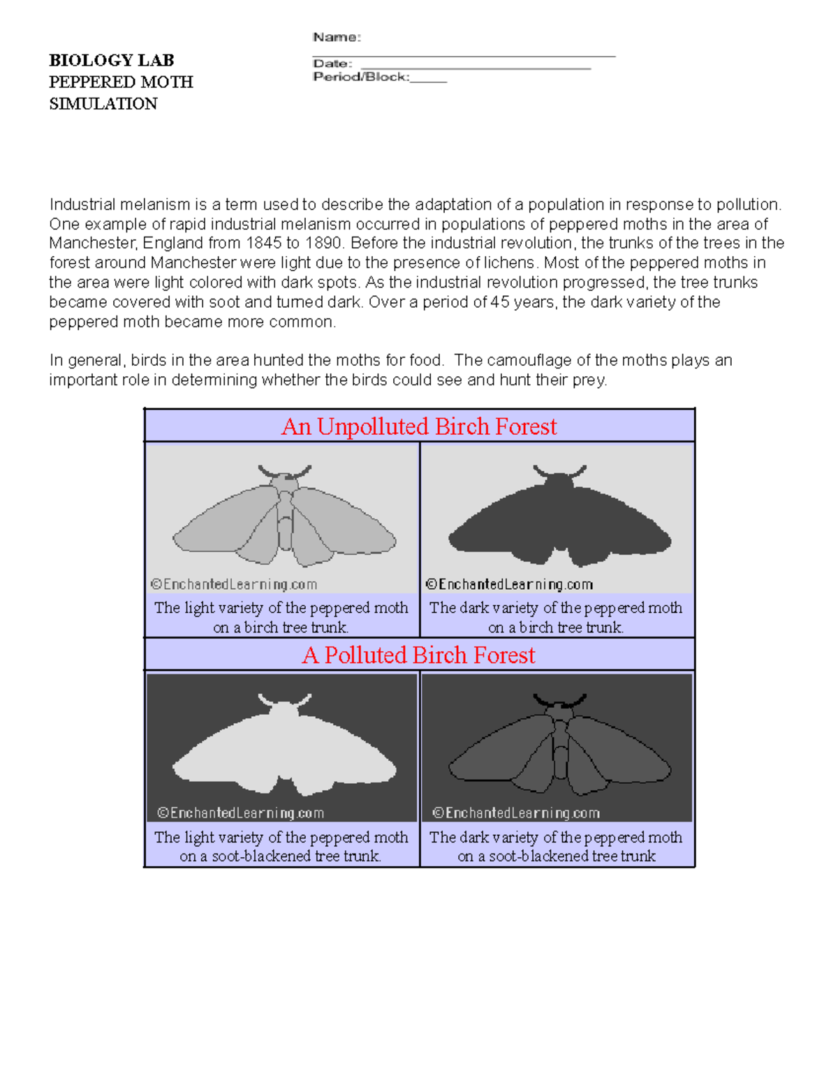 Copy of Pepperedmothlab 15-16 - BIOLOGY LAB PEPPERED MOTH SIMULATION ...