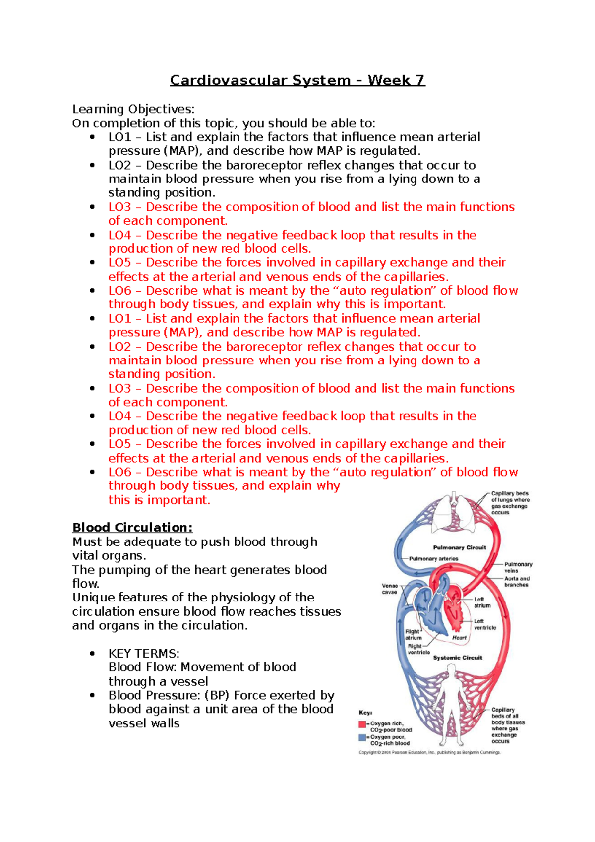 Cardiovascular System – Week 7 - Cardiovascular System – Week 7 ...