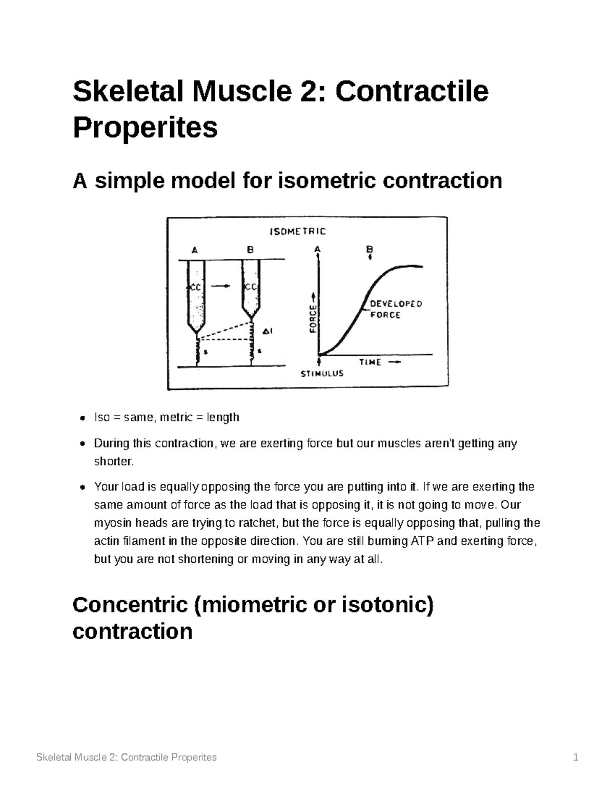 Skeletal Muscle 2 Contractile Properites - Your load is equally ...